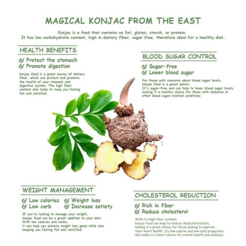 Keto Konjac Rice, Slim Rice - Best Konjac Food Brand • Hethstia