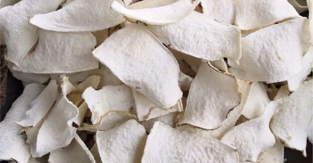 Konjac chips processing - Best Konjac Food Brand • Hethstia